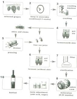 The flow chart shows the production of red wine | TOEFL IELTS GMAT GRE ...