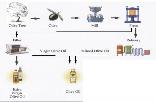 The Diagram Below Shows The Process Of Making Olive Oil What