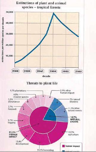 The graph and chart below give information about species extinction and ...
