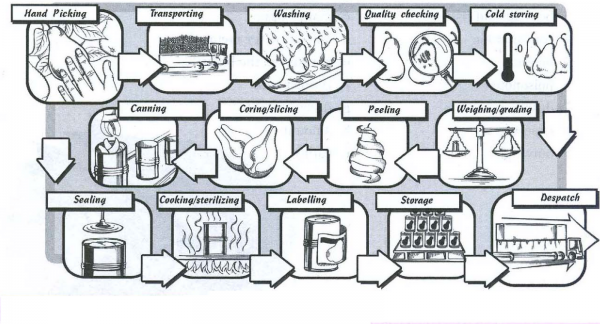 Process Flow Chart Diagram Of Canned Corn The Diagram Shows